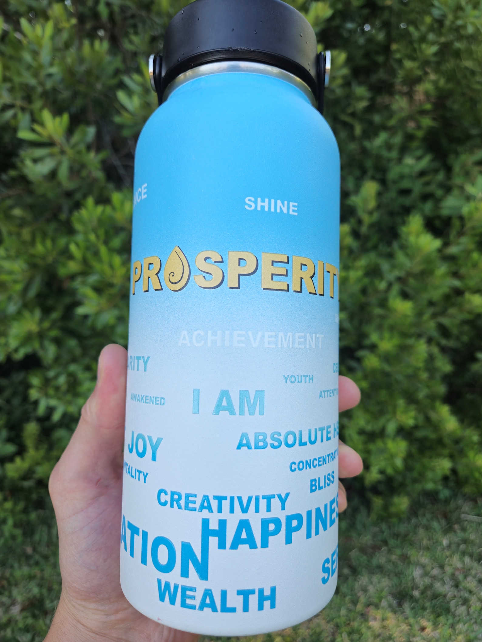 Prosperity Positive Daily Affirmations Water Bottle | Mental Health ...