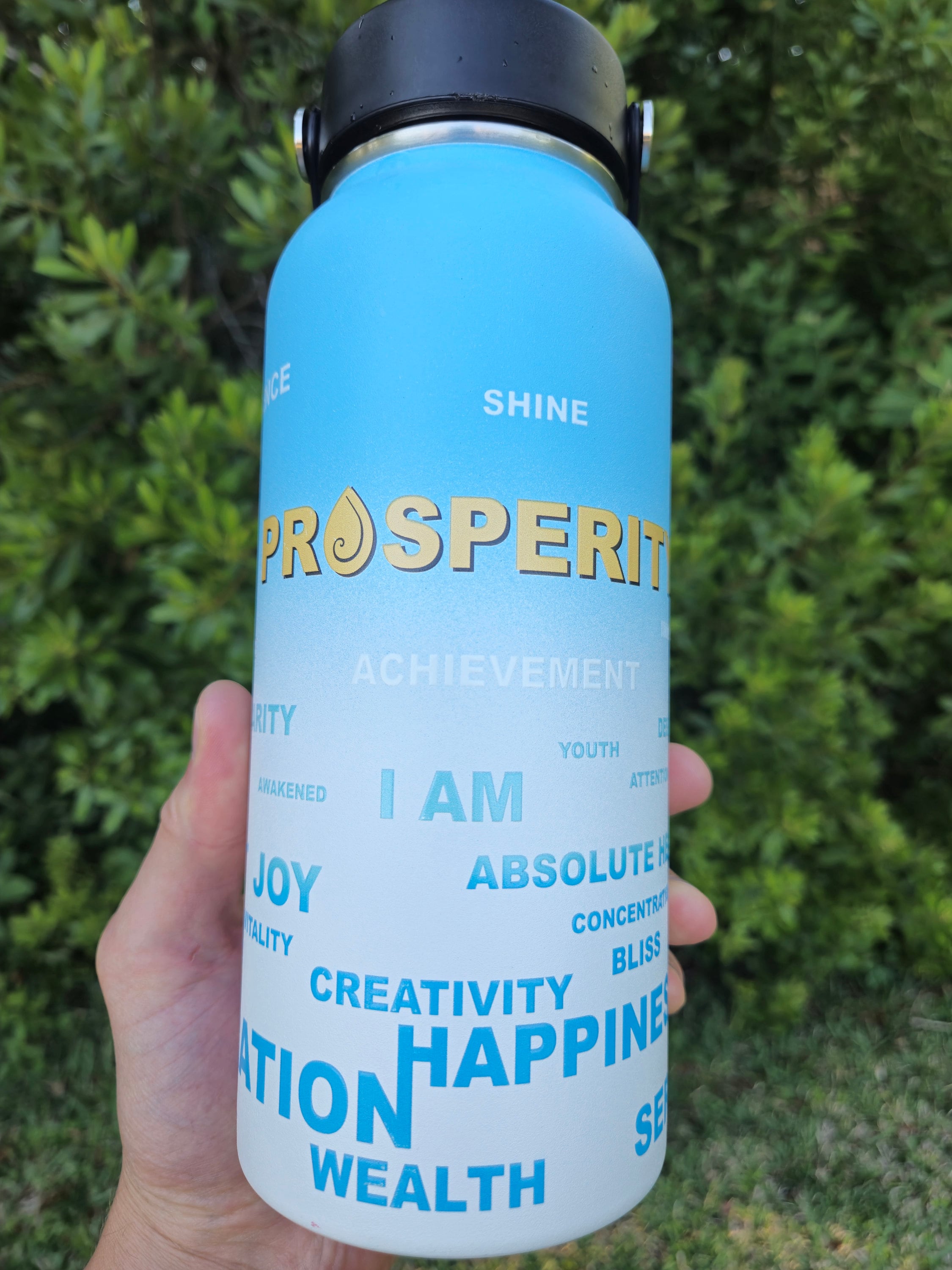 Prosperity Positive Daily Affirmations Water Bottle | Mental Health ...