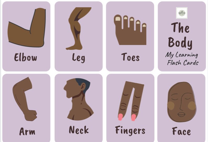 Toddler Flash Cards the Body | Printable Flash Cards | Early Years ...