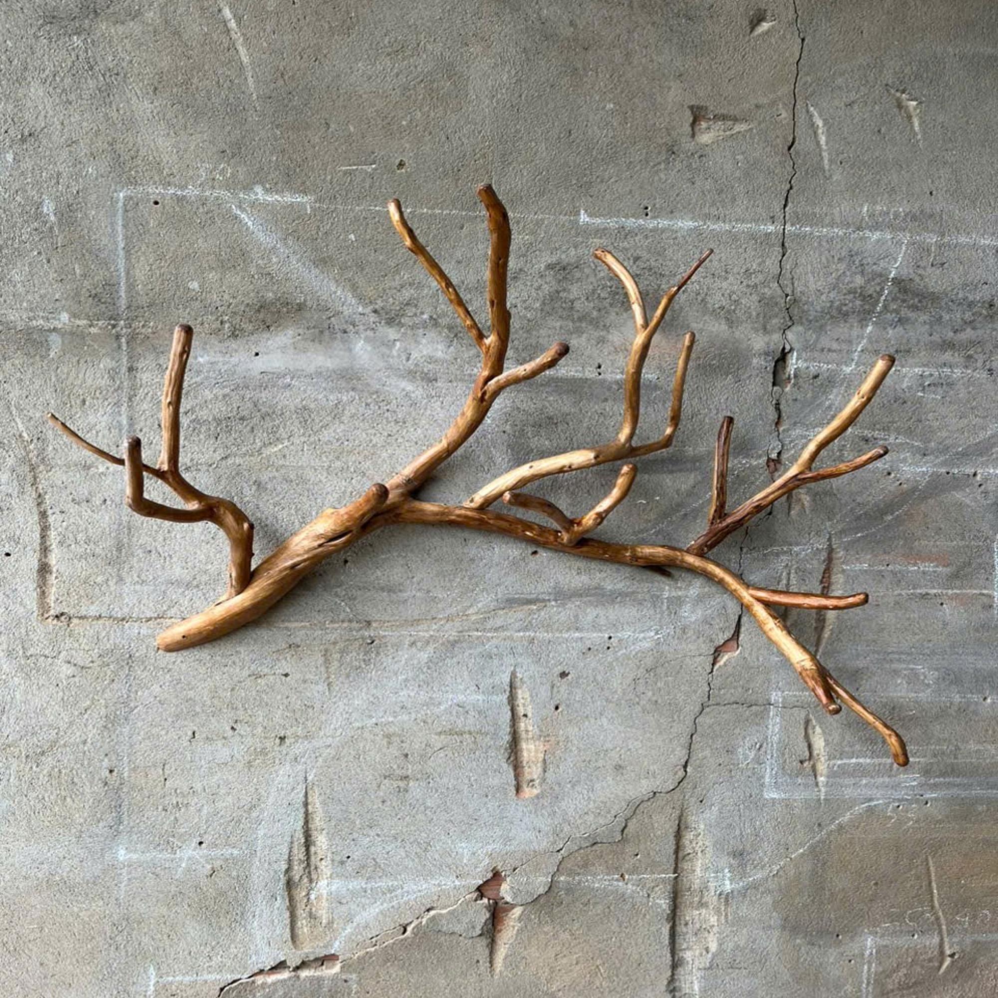 Tree Branch Coat Rack Wall Mount Natural Wood Hanging Clothes Rack ...