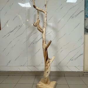 Free Standing Coat Rack Tree Branch Coat Hooks Natural Clothing Rack ...