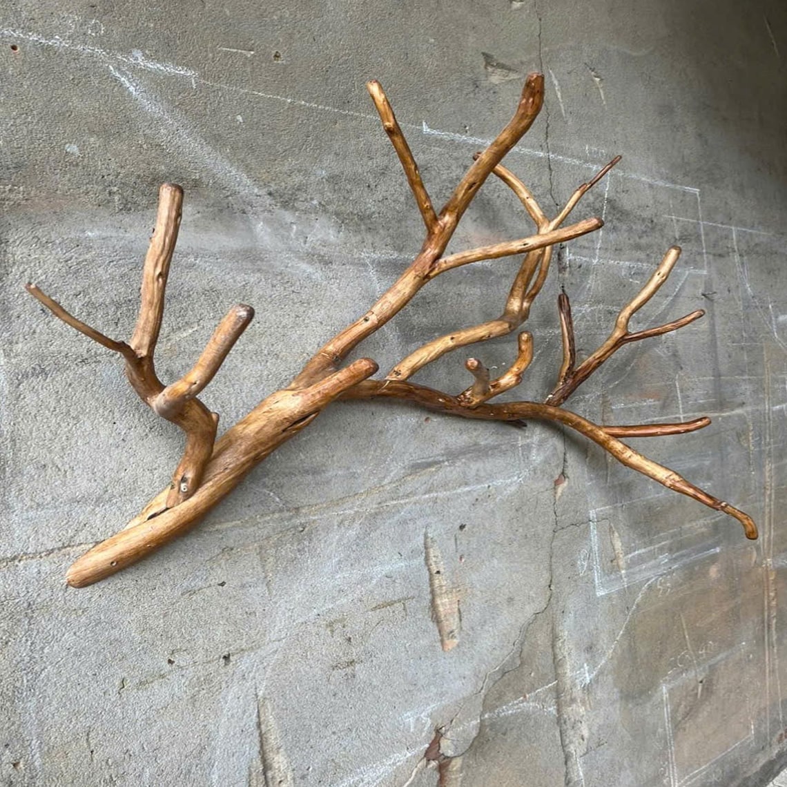 Tree Branch Coat Rack Wall Mount Natural Wood Hanging Clothes Rack ...