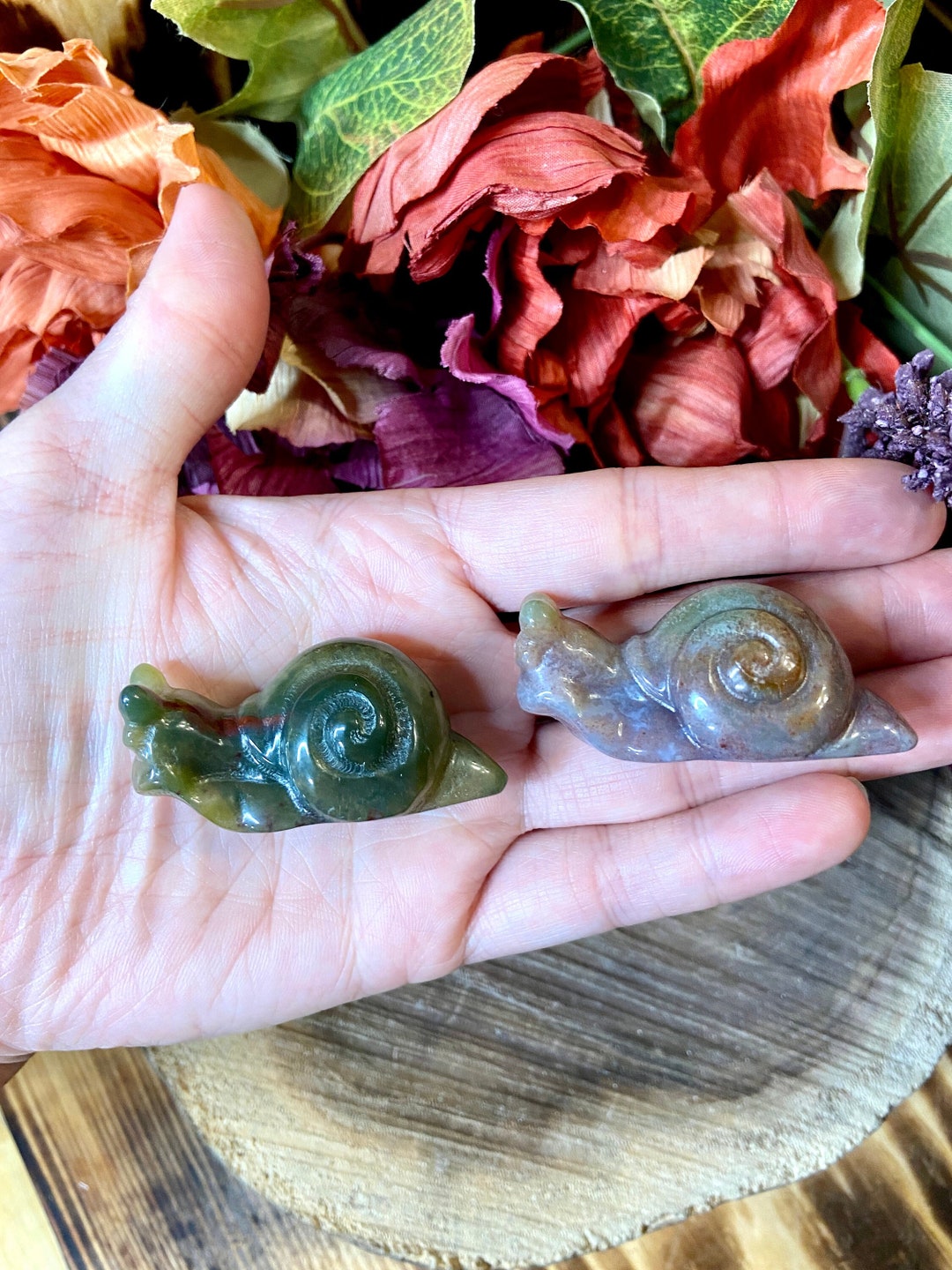 Ocean Jasper Snail Crv208 Crystal Snail OJ Snail Snail - Etsy