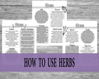 Herb Cheat Sheet - Etsy