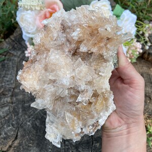 Selenite Specimen, Crystal Cluster, Spc150 - Etsy