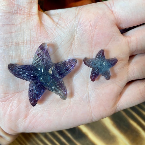 Mini Starfish - Etsy