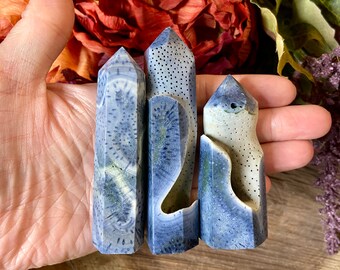 Blue Fossil Coral - Etsy