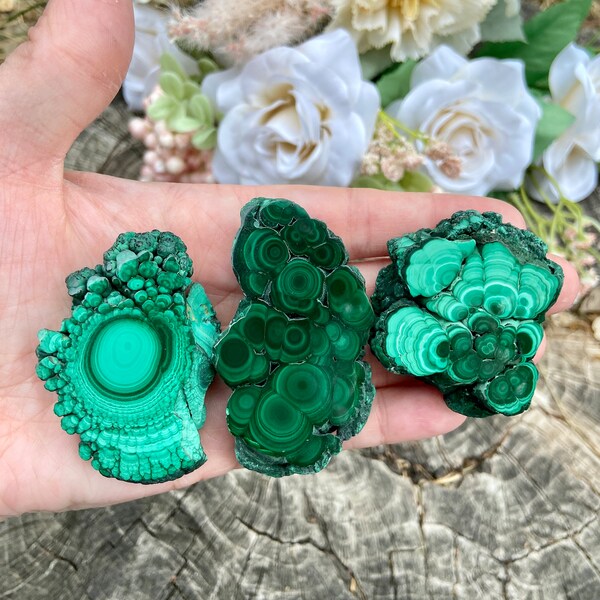 Malachite Specimen - Etsy