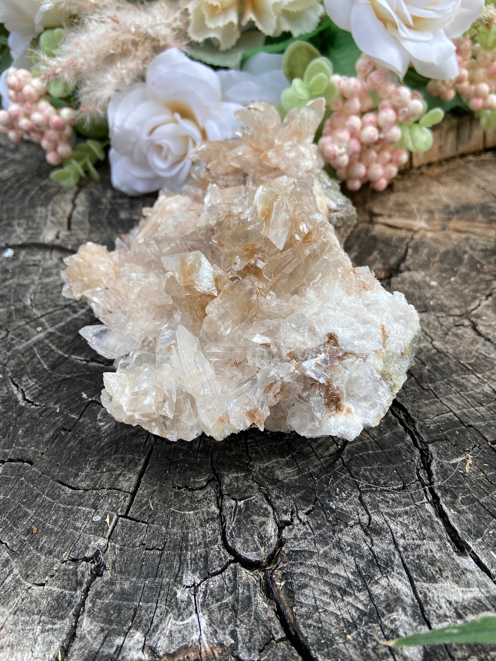 Selenite Specimen, Crystal Cluster, Spc150 - Etsy