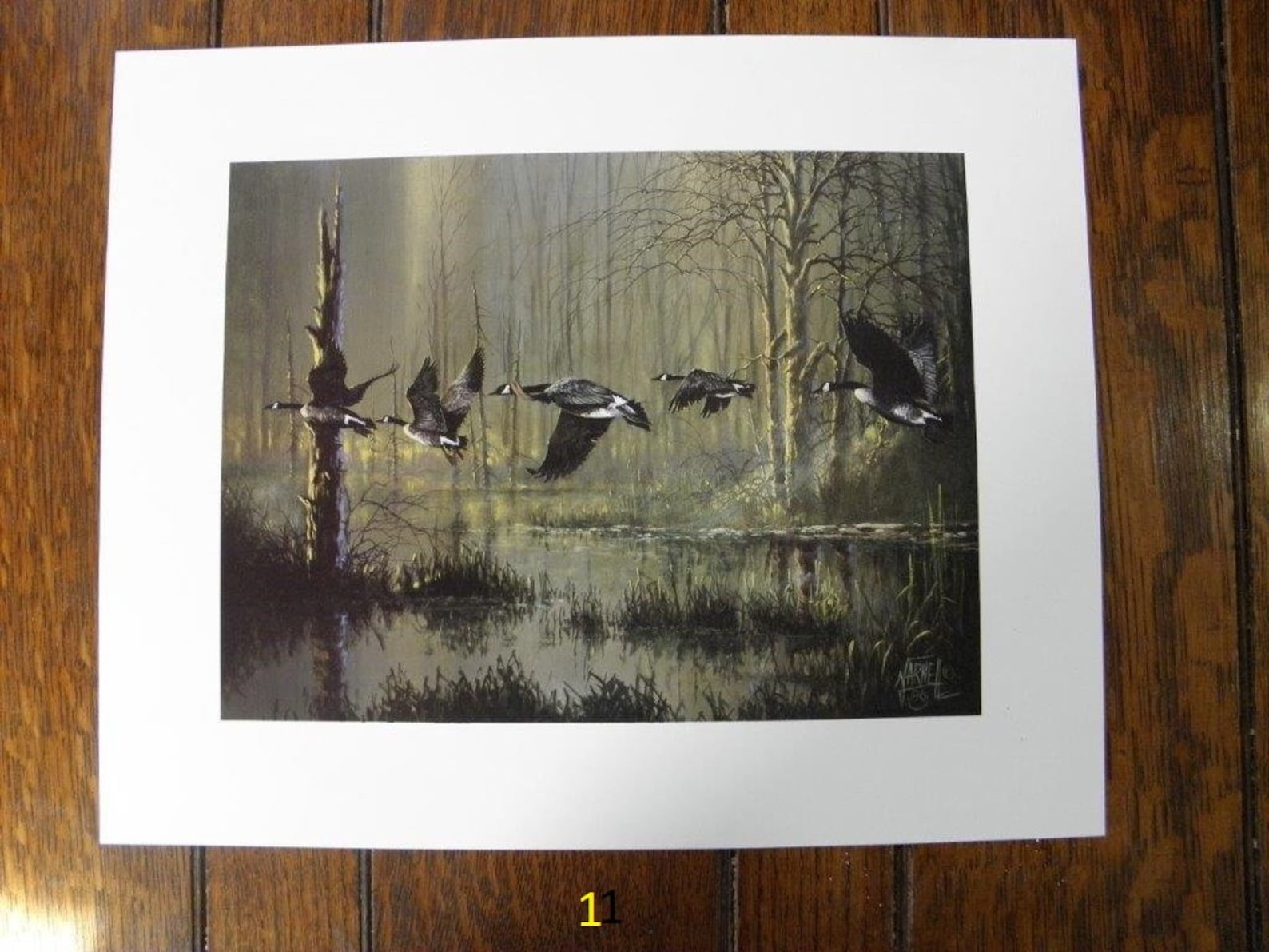 6 Jerry Yarnell Unframed Bird Prints - Etsy