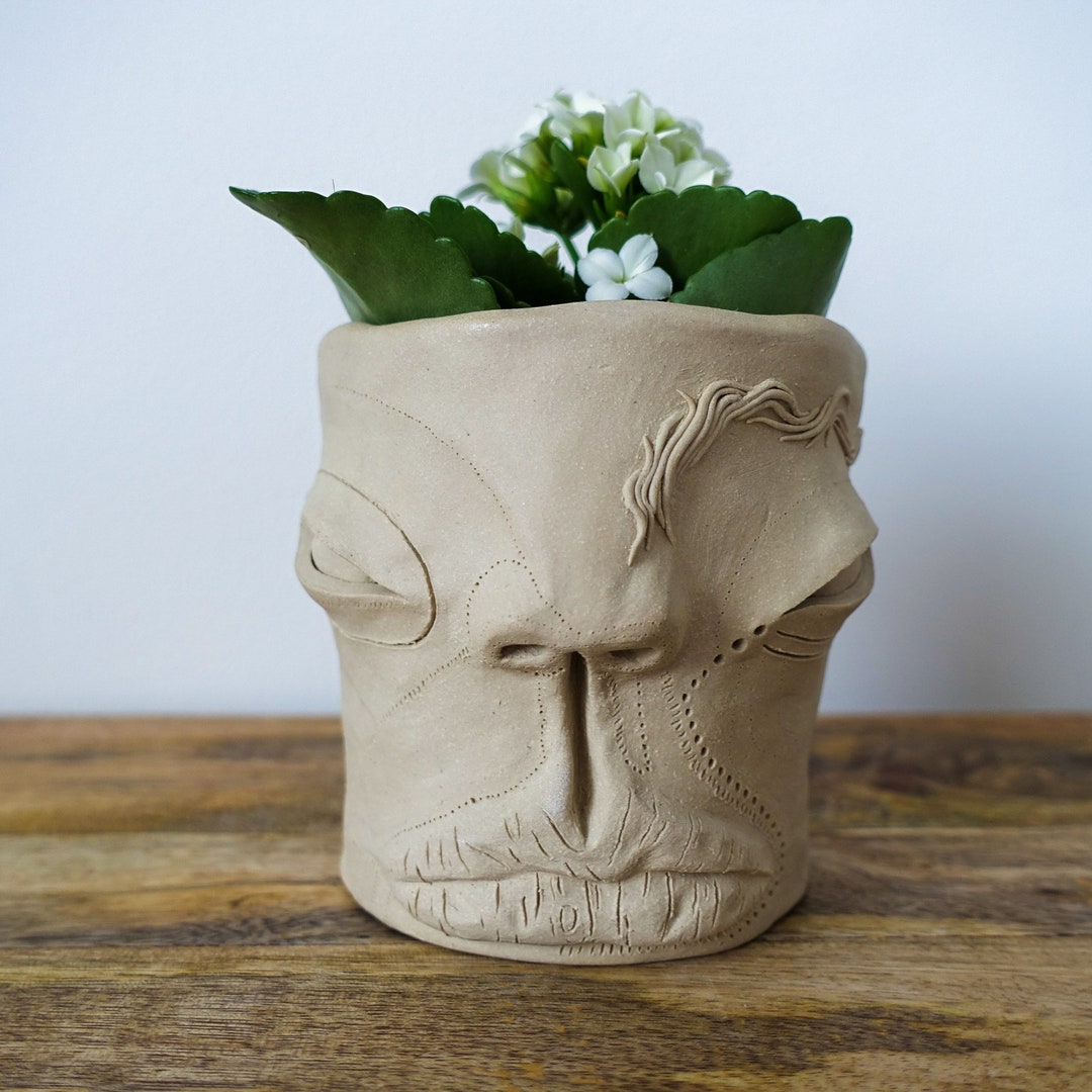 Tarmo Handmade Weird Pot, Unique Vase, Head Planter, Kawaii Cute Face ...