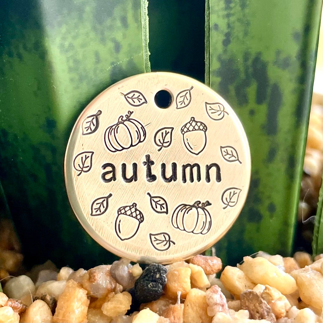Fall Autumn Acorn and Leaves Pet Tag Dog Tag Cat Tag - Etsy