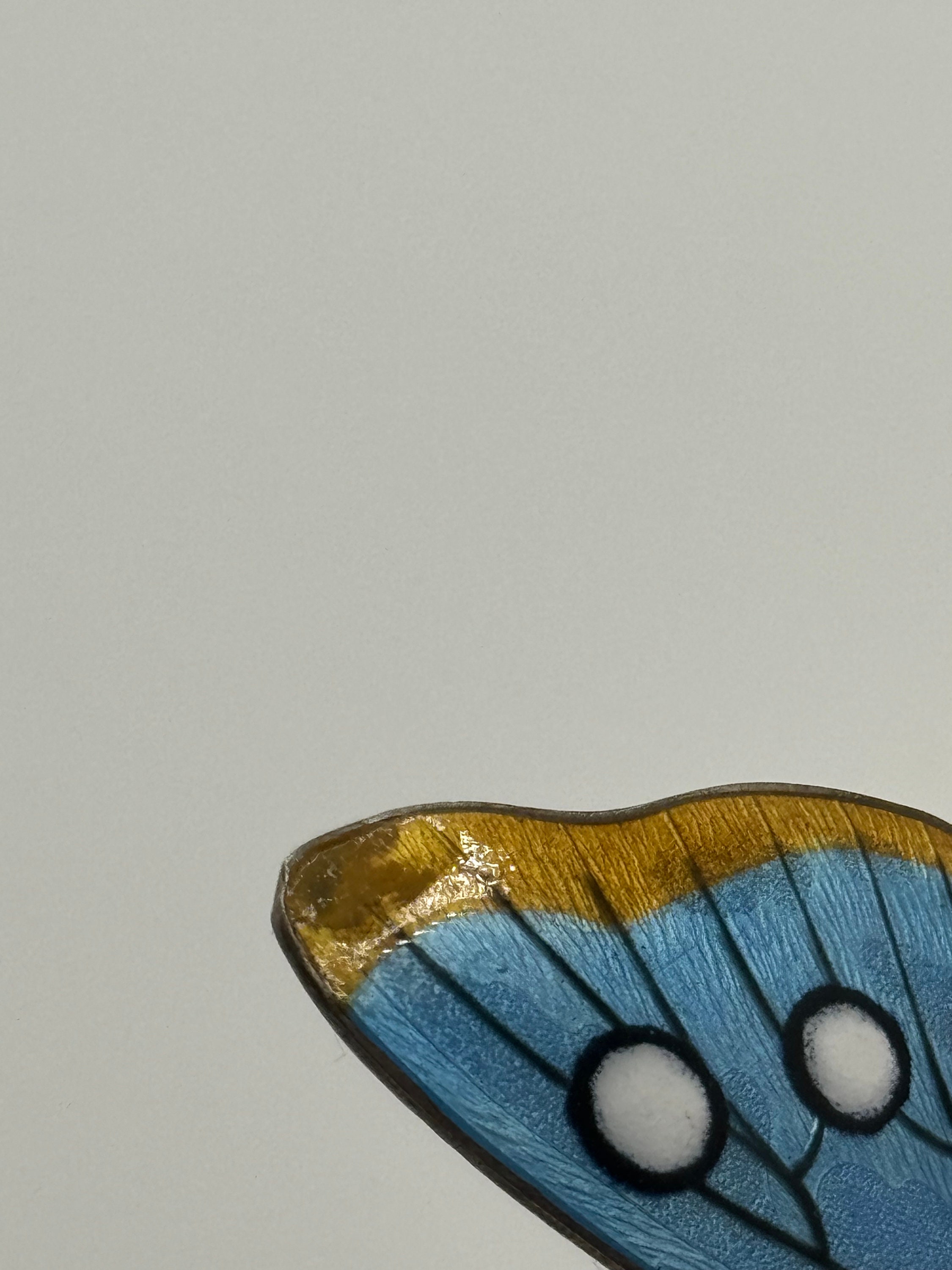 Antique Marius Hammer Norway 930S Sterling Silver Enamel Butterfly ...