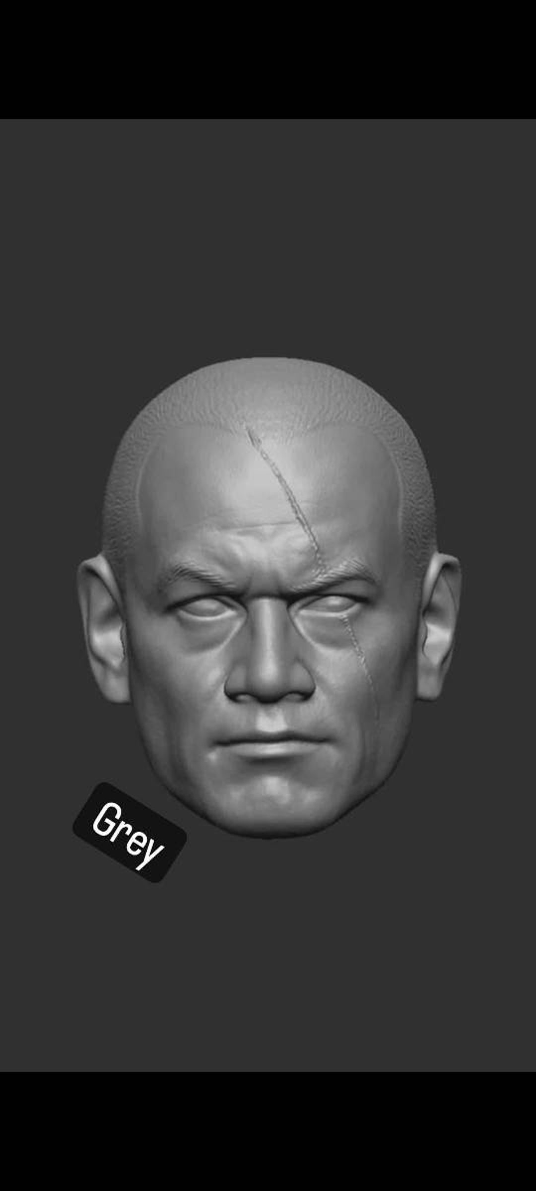 Clone Captain Grey Head Sculpt - Etsy