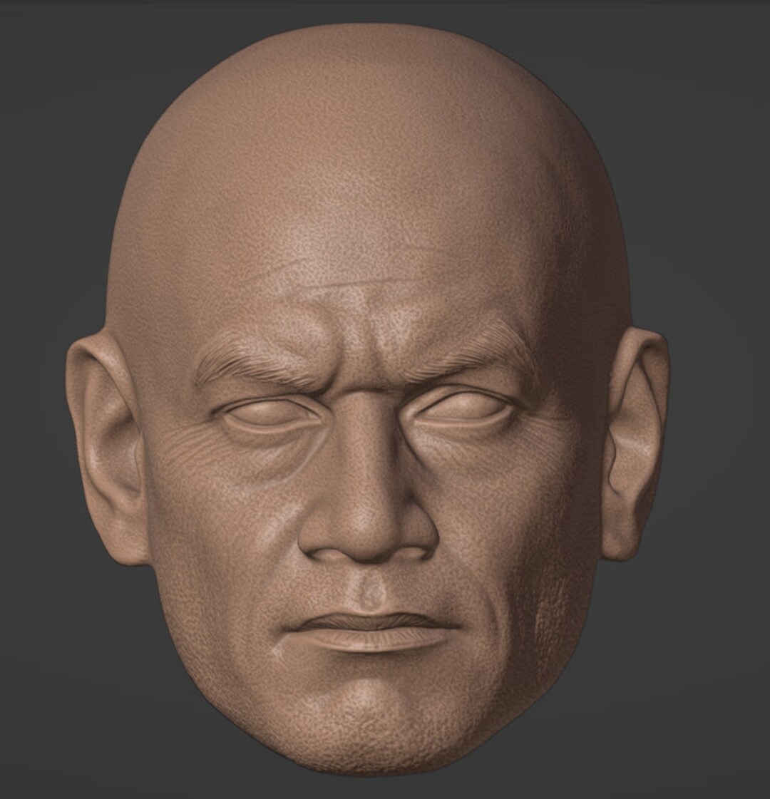 Bald Clone Trooper Head Sculpt - Etsy