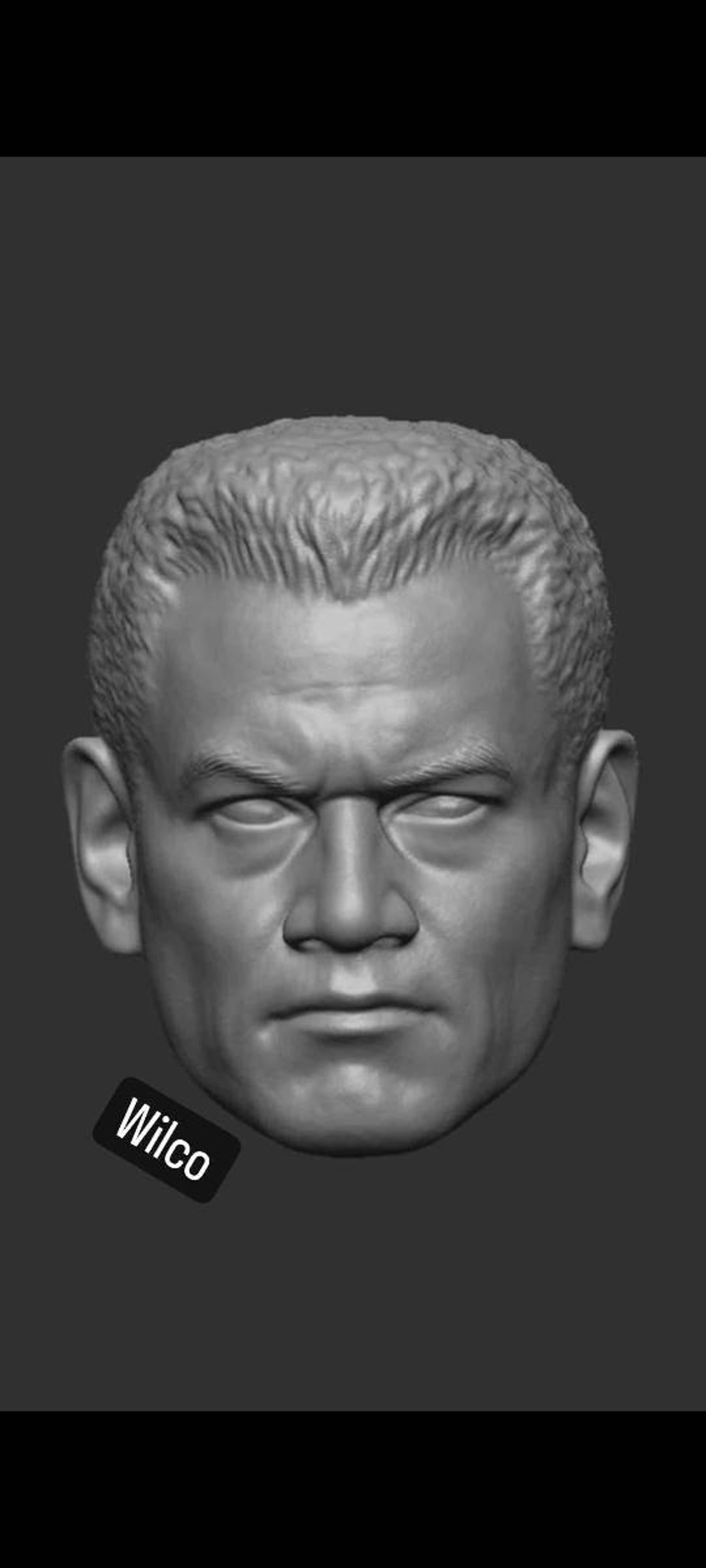 Clone Captain Wilco Head Sculpt - Etsy