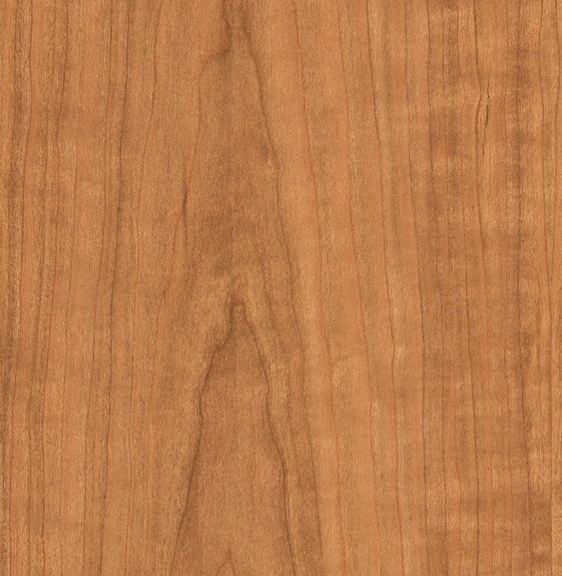 Mtg Carry Case collection Carrier Holds up to 28 Magic: the Gathering ...