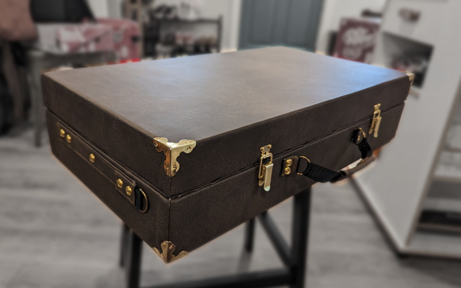 Mtg Carry Case collection Carrier Holds up to 28 Magic: the Gathering ...