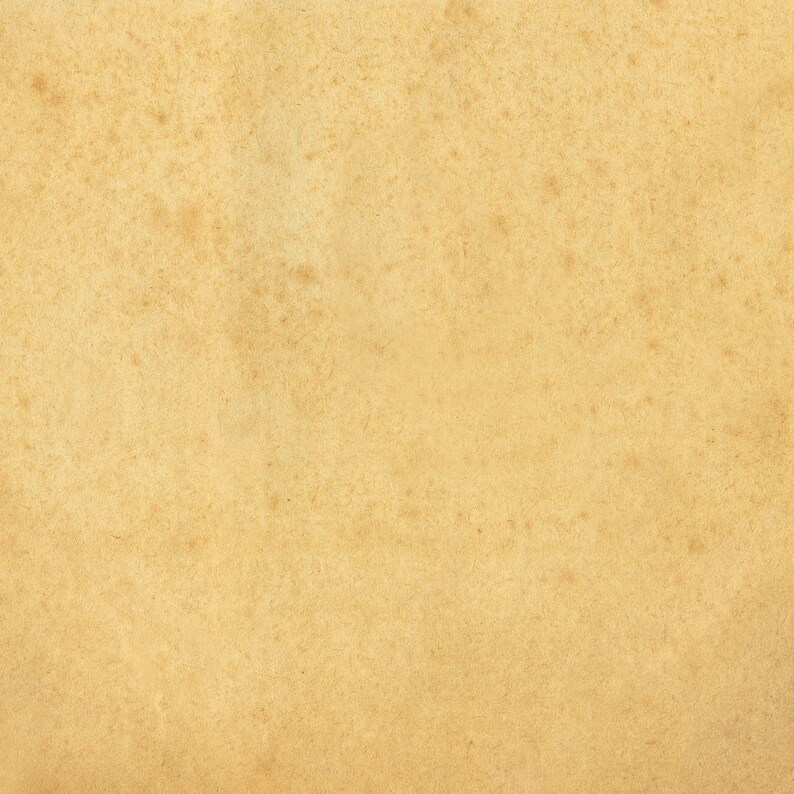 Light Cream Oldie Paper Digital Background Photography - Etsy