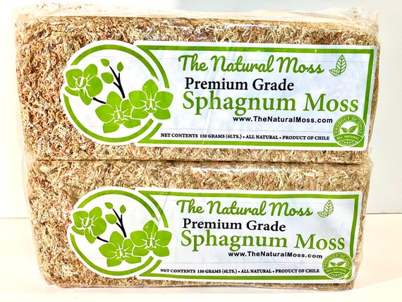 Chilean Sphagnum Moss 150g/6l Compact Brick Ethically Grown & - Etsy