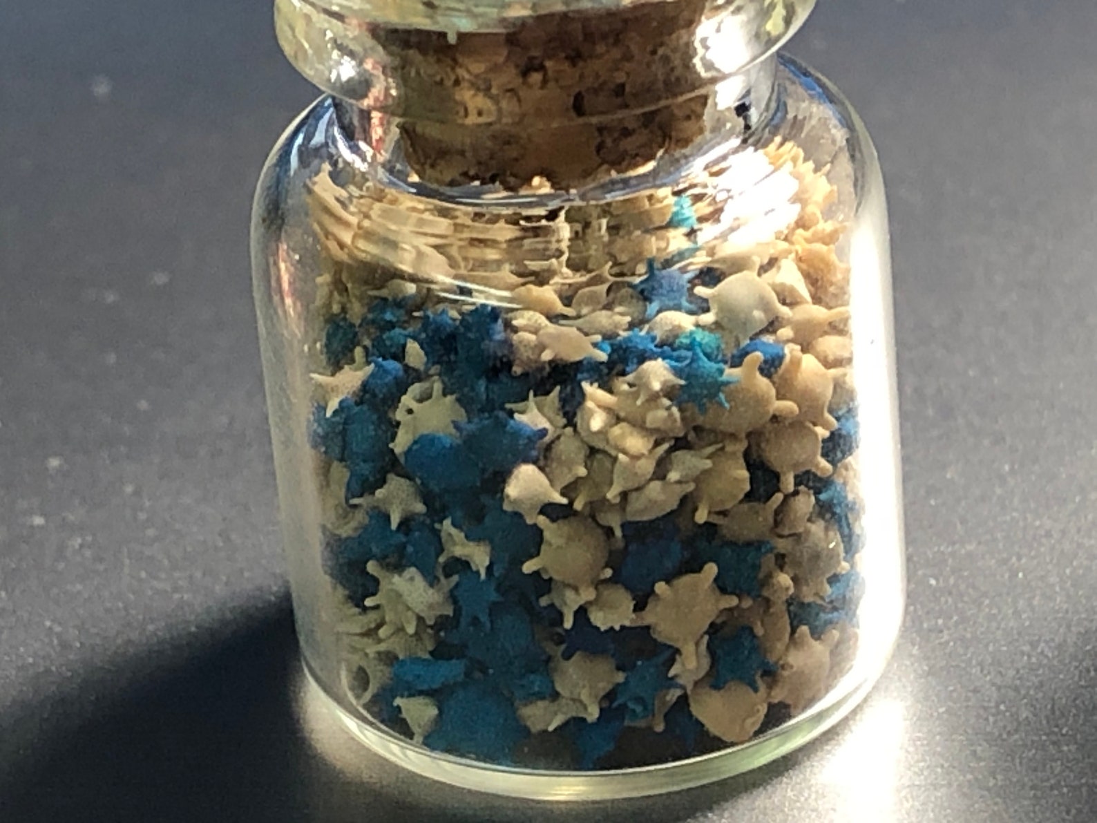 Star Sand from Okinawa Ishigaki island Star Sand Sun sand | Etsy