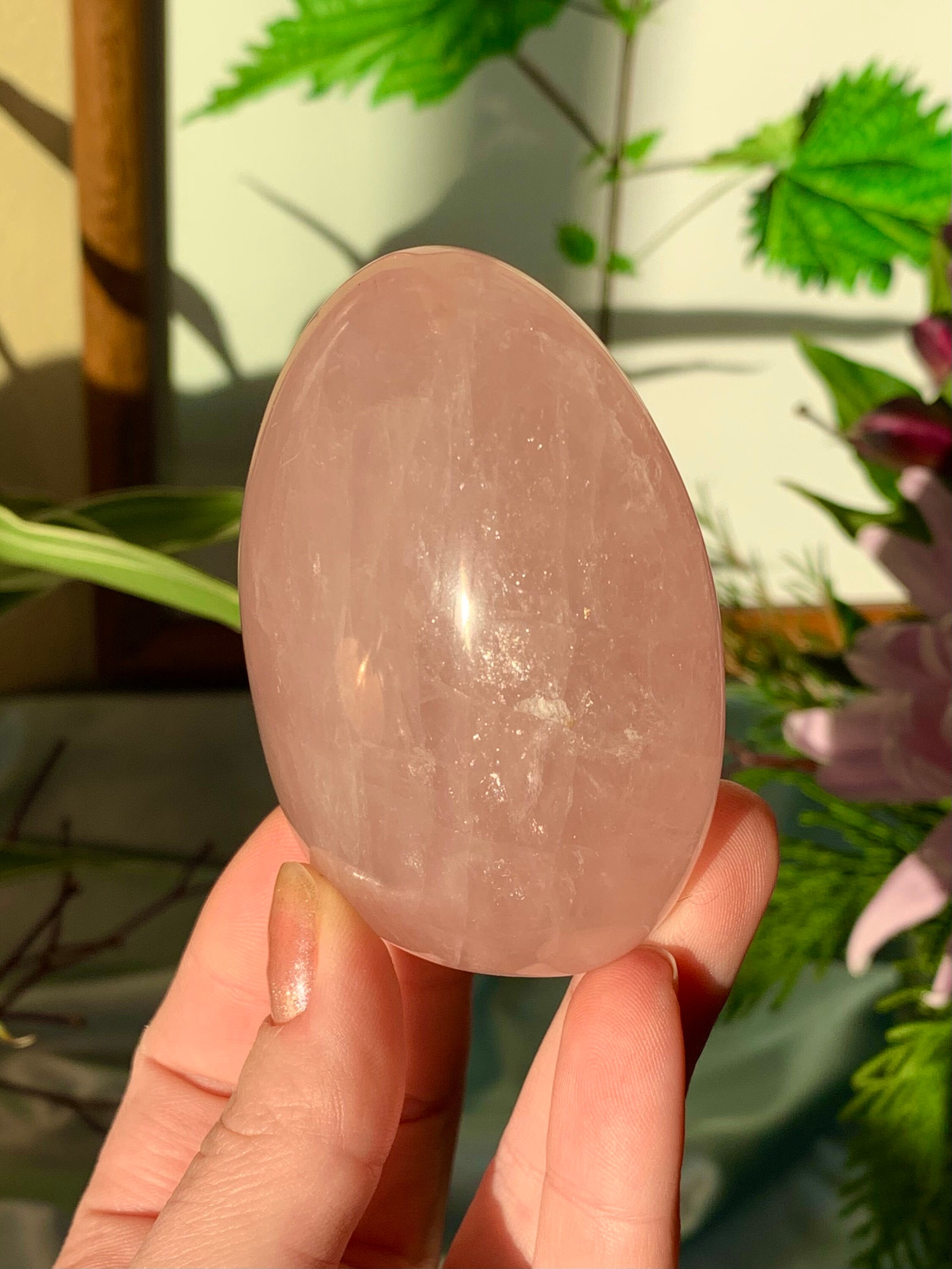 Gem Quality Star Rose Quartz Crystal Polished Freeform with | Etsy