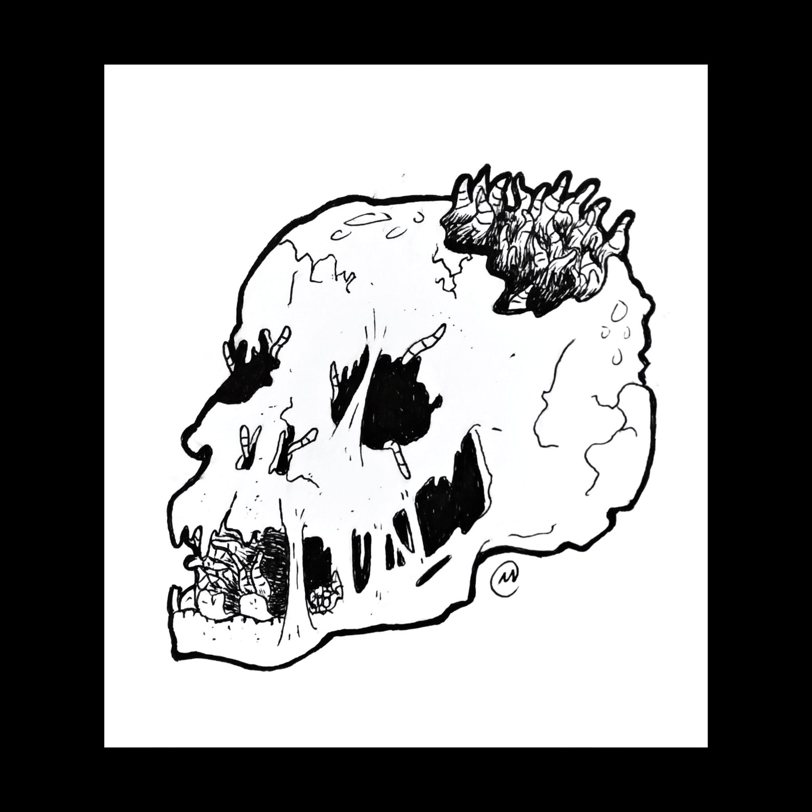 Rotting Skull 4x4 Art Print Gore Print Etsy rotting-skull-4x4-art-print-gore-print-etsy