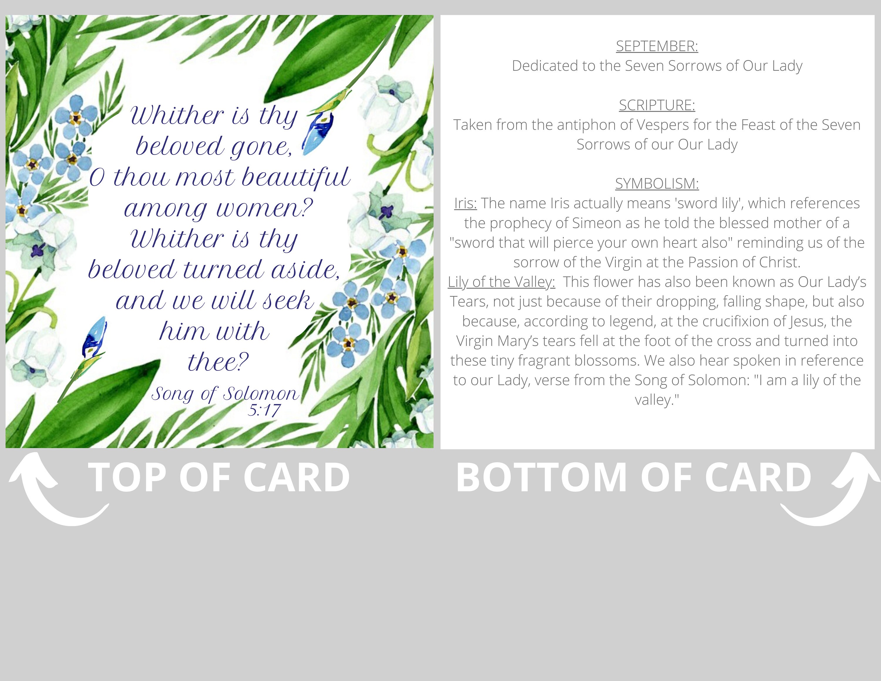 Sink-side Scripture Cards, Liturgical Art, Catholic Monthly Devotion ...