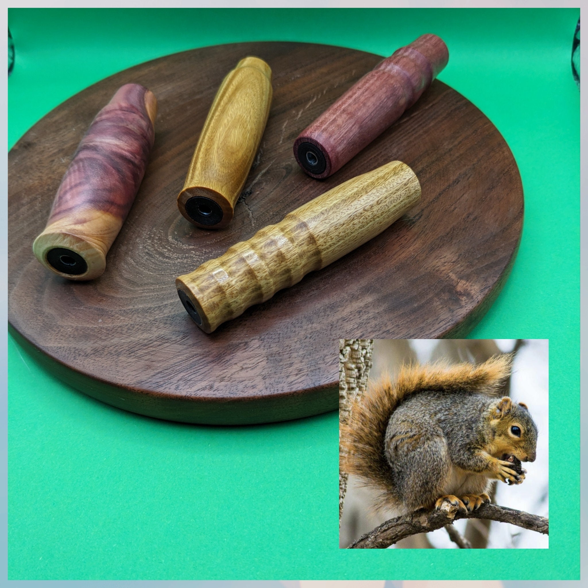 Squirrel Call. Hunting. Game Call. Squirrels Distress. Adult Squirrel ...