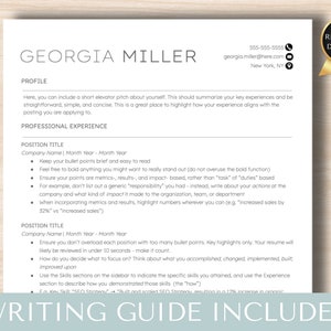 Professional Resume Template Google Docs, CV Curriculum Vitae Template ...