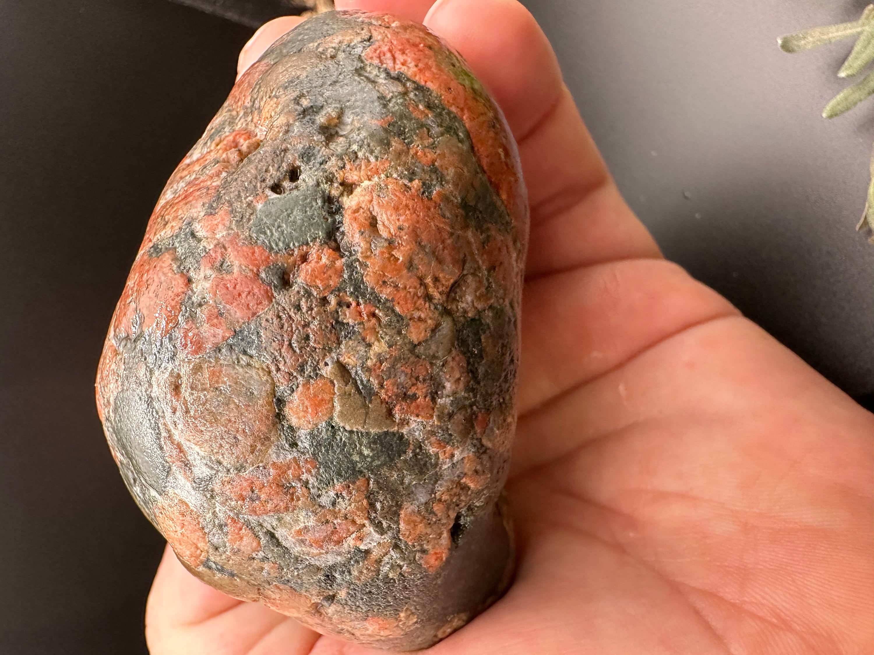 Big Gowganda Tillite, Pudding, Conglomerate Michigan Stones, Display ...