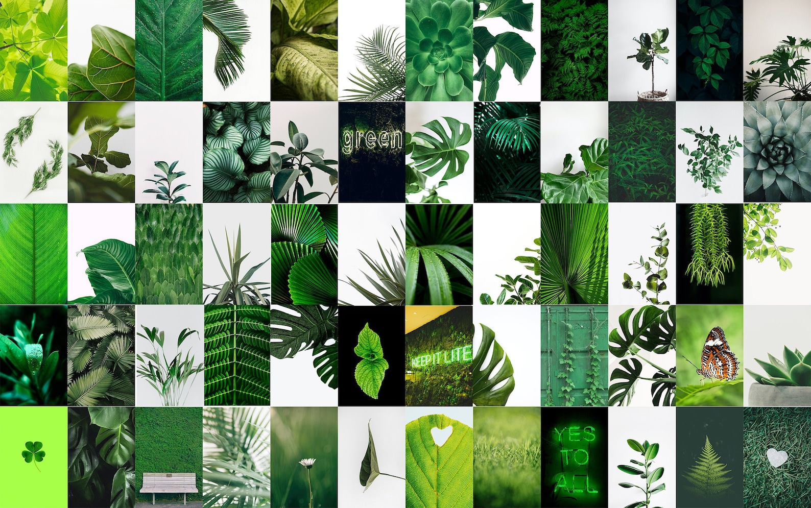 Green Plants Wall Collage Kit Botanical Collage Kit Greenery | Etsy