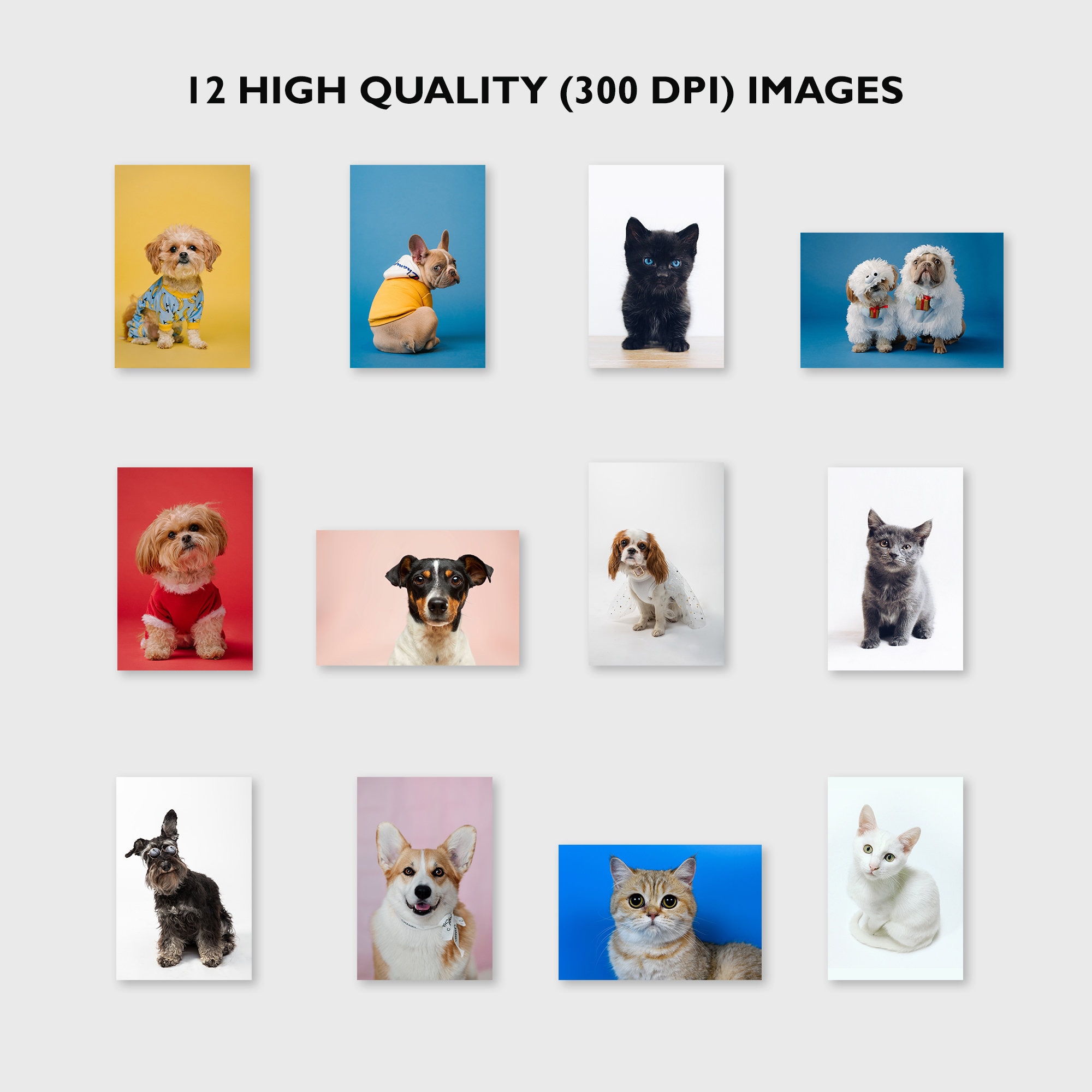 Pets Gallery Wall Set of 12 Prints, Printable Wall Art, Cute Animals ...