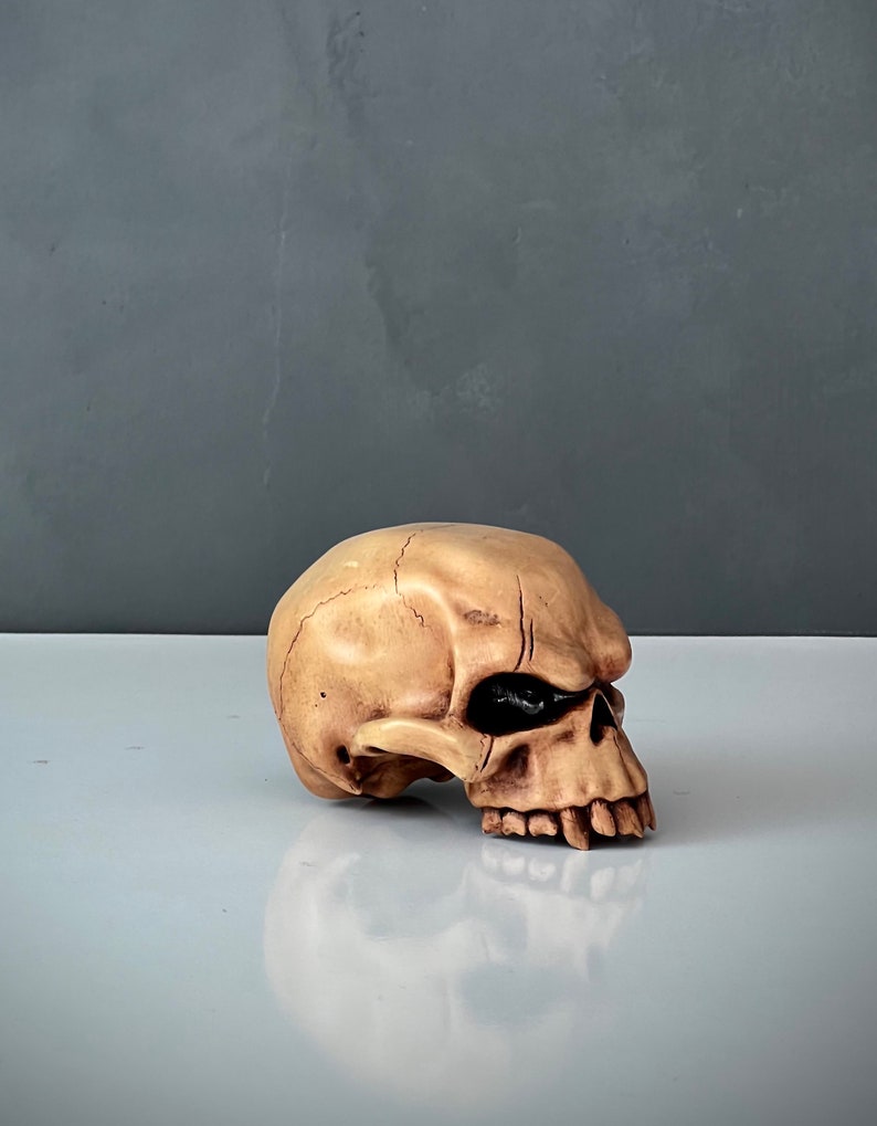 Orc Skull Fantastic Horror Mini Model free Shipping - Etsy