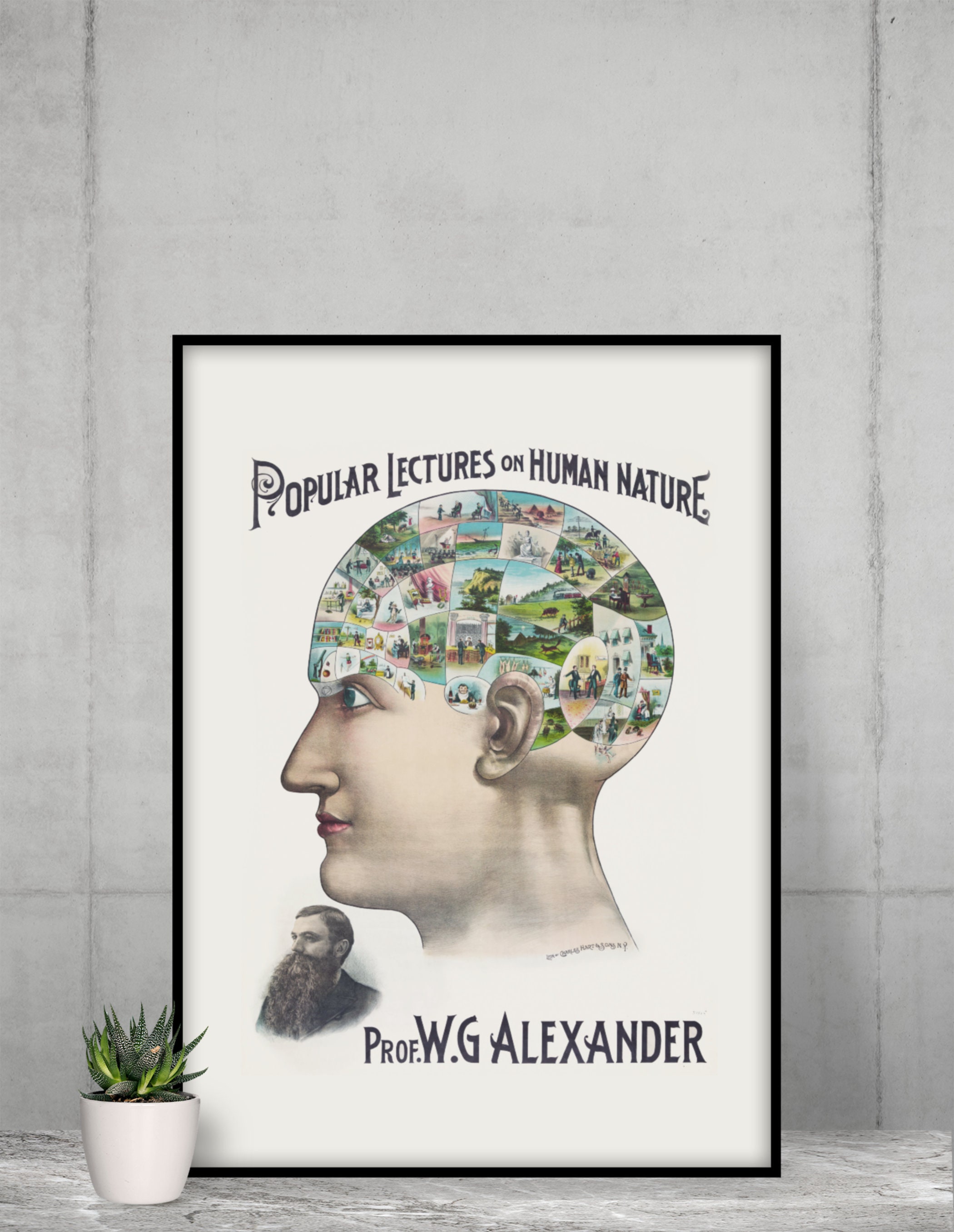 Human Mind Vintage Anatomy Poster Medical Office Wall Art - Etsy UK