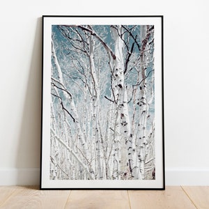 Forest Print, Nature Art, Tree Art, Nature Poster, Photography Prints ...