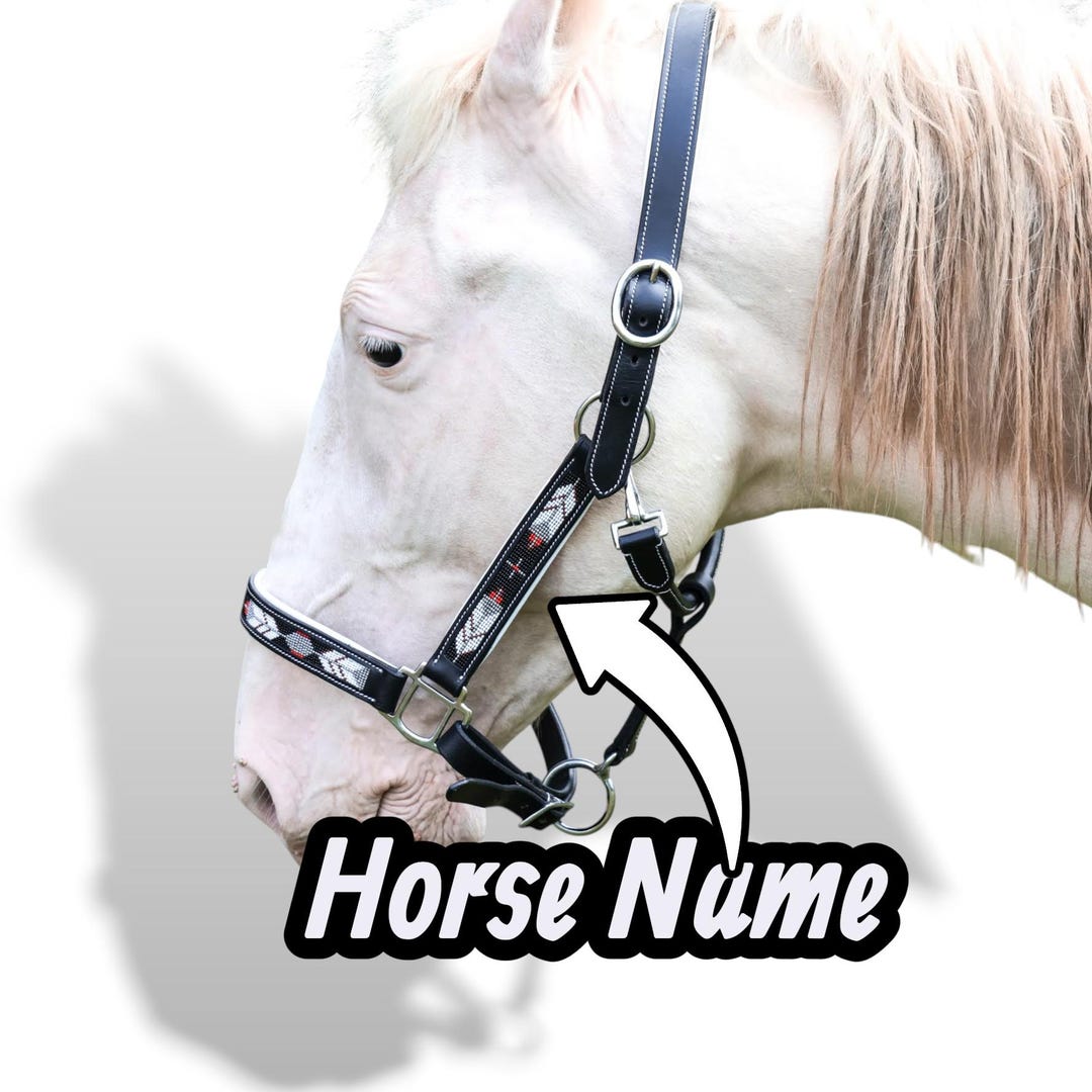 Personalized Leather Beaded Horse Halter With Name | Adjustable Padded ...