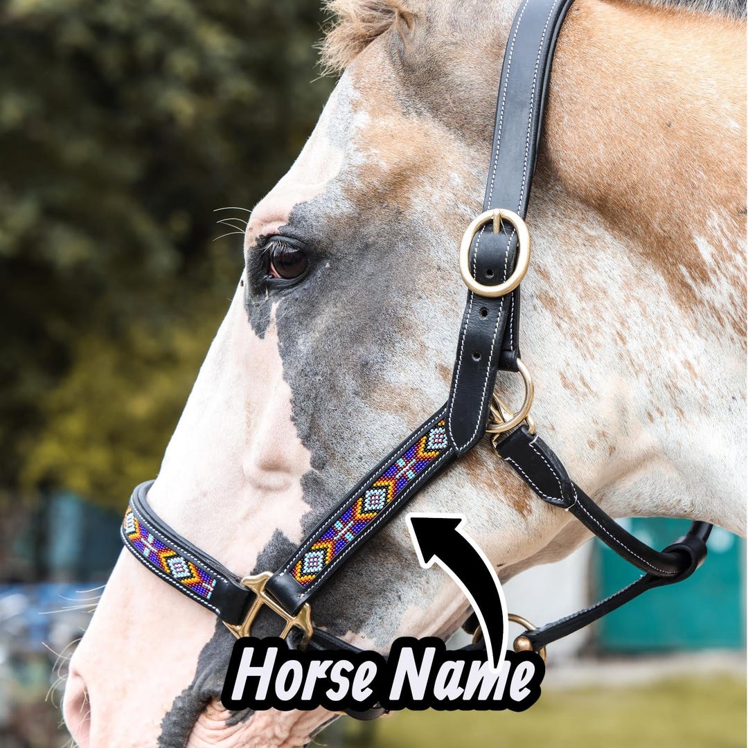 Personalized Custom Tack | Beaded Name Leather Horse Halter | Soft ...