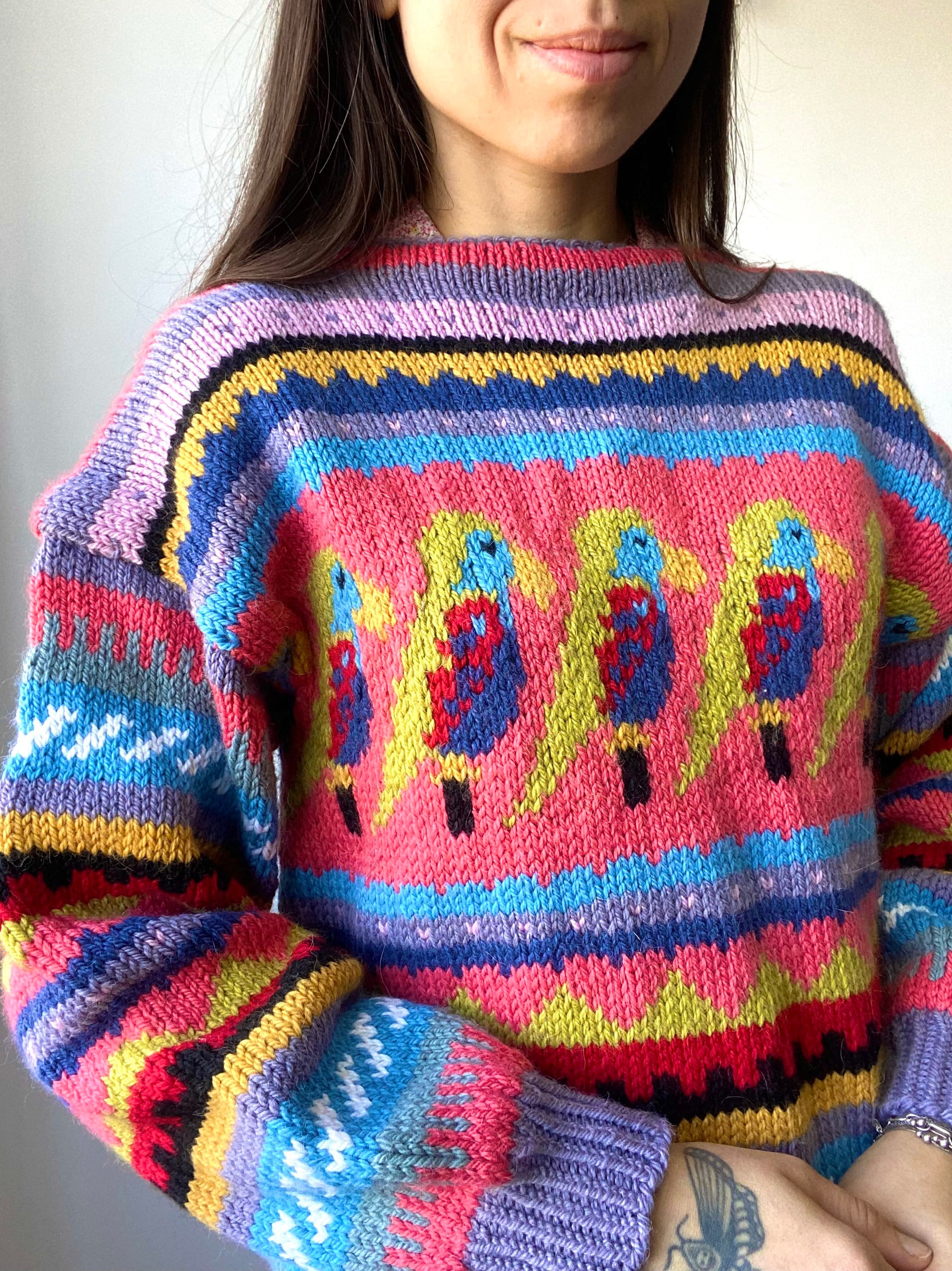 Vintage Fun Birds Sweater Parrot Rainbow. Hand Knitted Jumper - Etsy