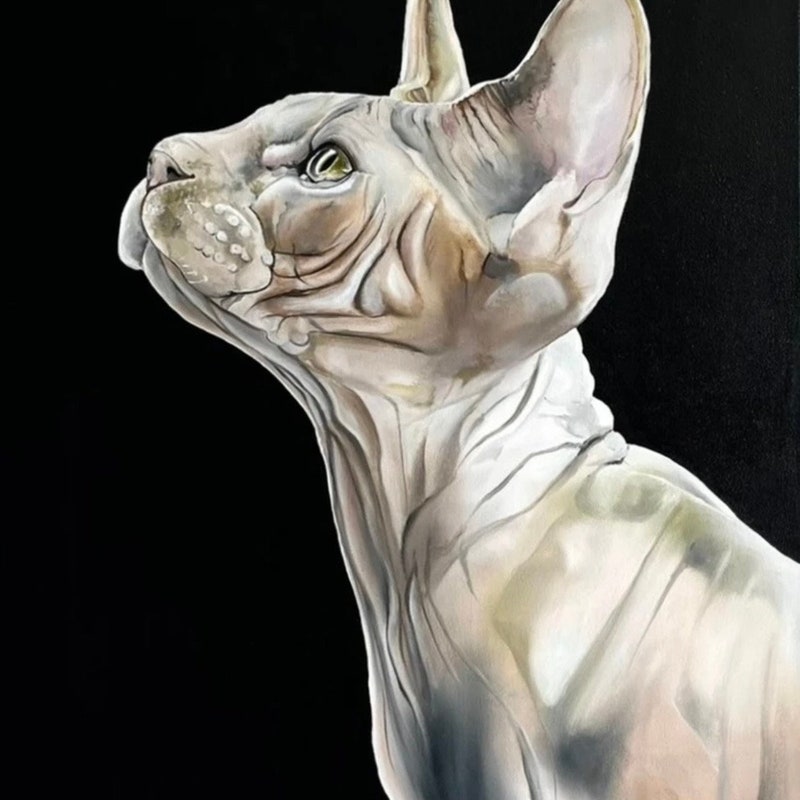 Sphinx Cat - Etsy