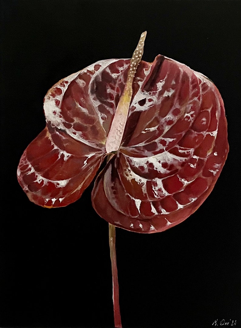 Flowers Oil Painting, Red Anthurium ,realistic Painting, Macro ...