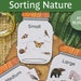Animal Sorting Activity Nature Sorting Activity Outdoor - Etsy