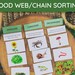 Food Chain Sorting Activity Sort the Producers Consumers - Etsy
