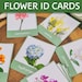 Flower Identification Cards | Flower Cards | Flower Study | Flower ...