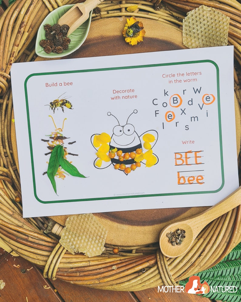 World Bee Day Printable Activity Pack | Bee Life Cycle, Bee Crafts, Bee ...