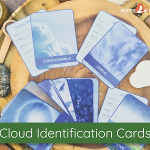 Cloud Identification Cards Types of Clouds Clouds | Etsy