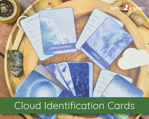 Cloud Identification Cards Types of Clouds Clouds | Etsy