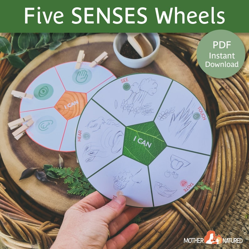 Five Senses Nature Wheel Nature Sensory Activity for Kids Outdoor Play ...