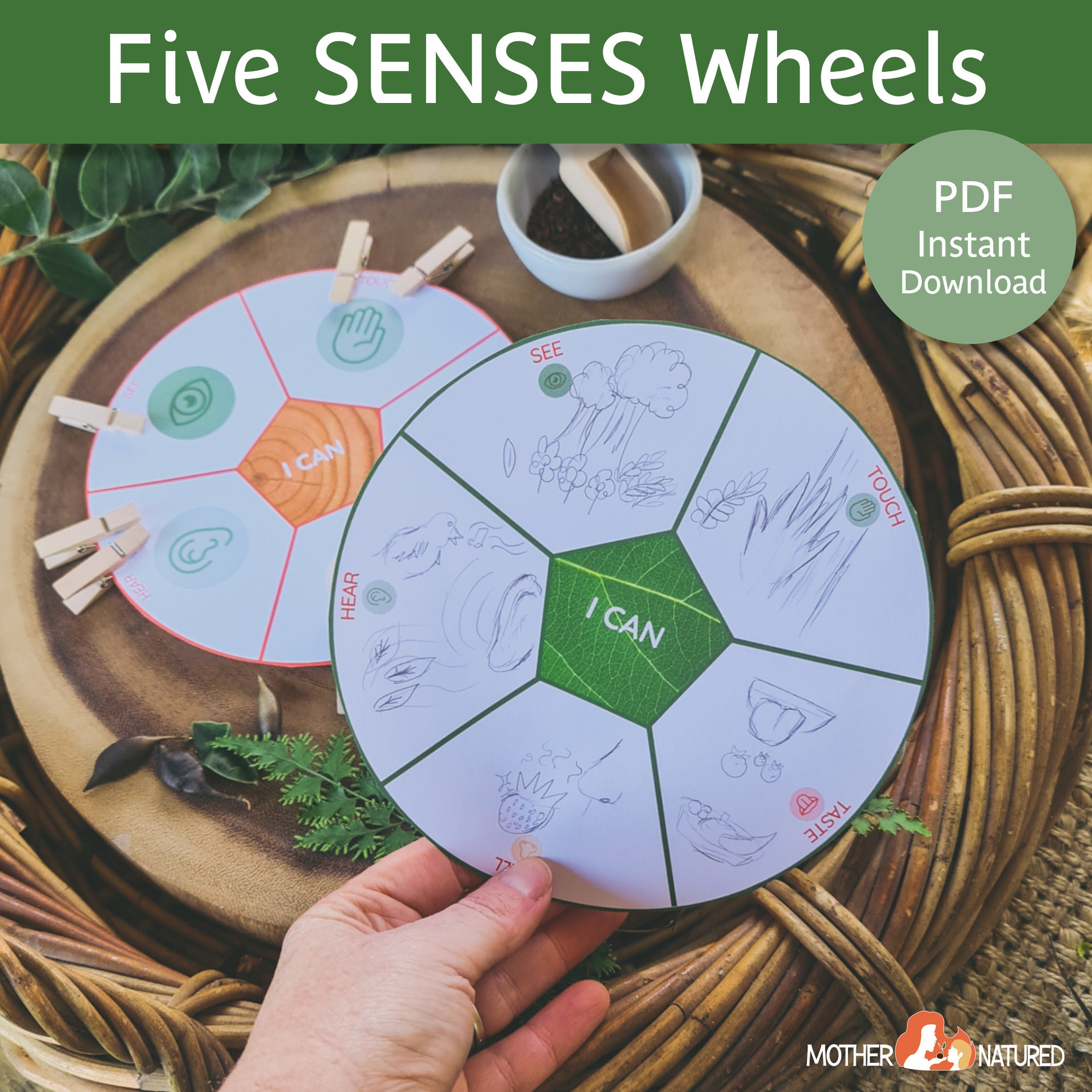 Five Senses Nature Wheel Nature Sensory Activity for Kids Outdoor Play ...