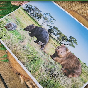 Australian Animal Puppets | Koala Puppets | Kangaroo Puppets | Wombat ...